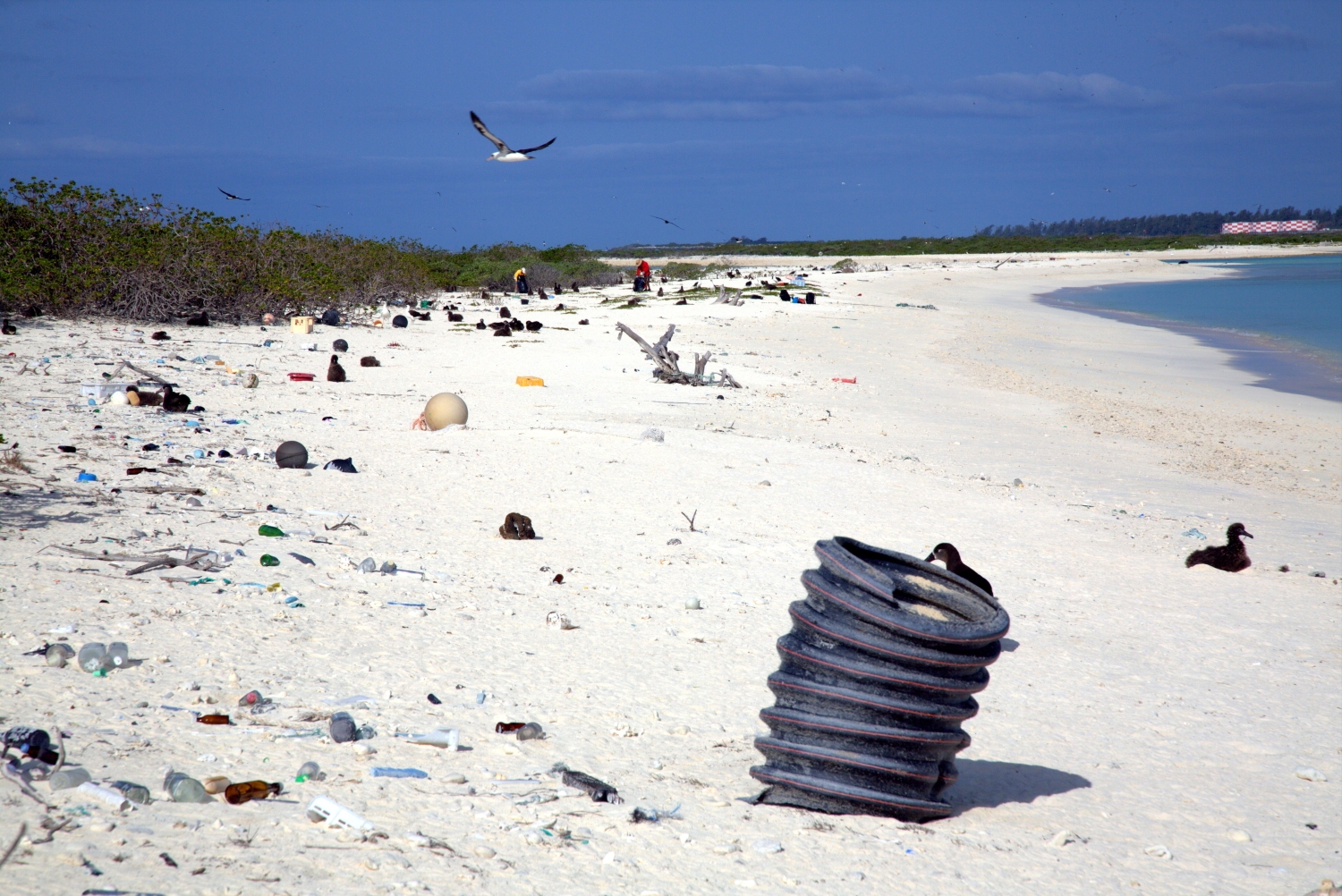 Types | Marine Debris Program