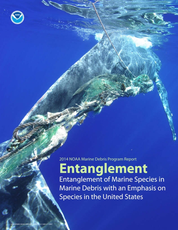Entanglement of Marine Species in Marine Debris with an Emphasis on ...