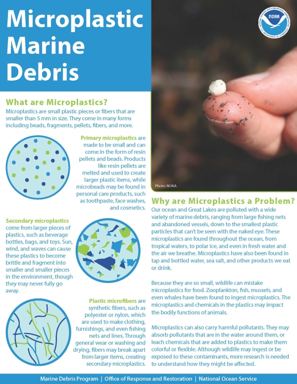 Microplastic Marine Debris Fact Sheet | Marine Debris Program