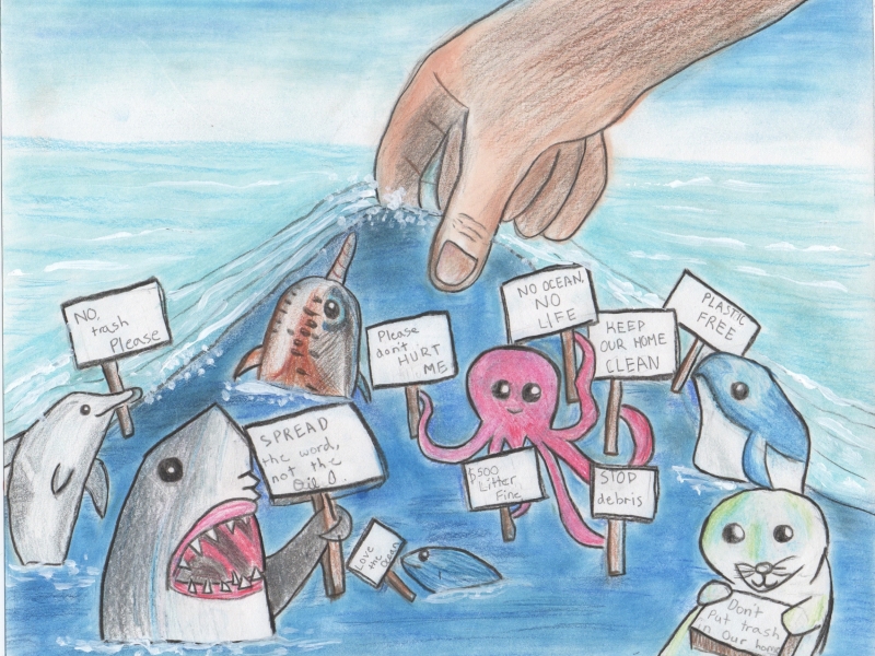 Annual NOAA Marine Debris Program Art Contest and Calendar | Marine ...